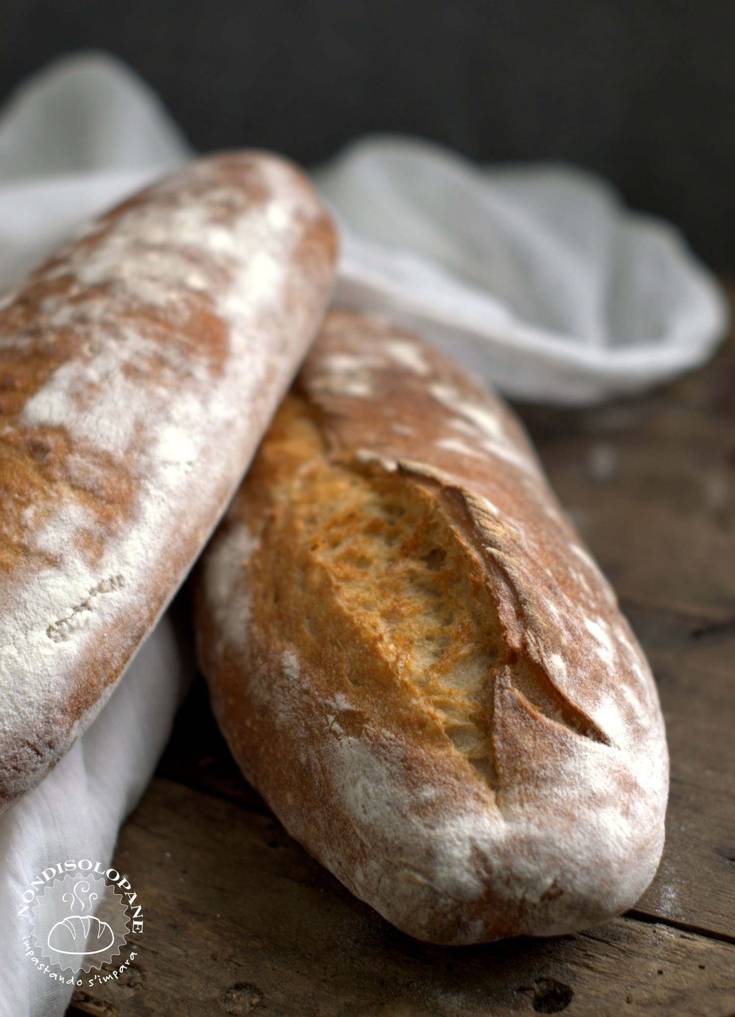 Pane rustico alla segale | NONDISOLOPANE