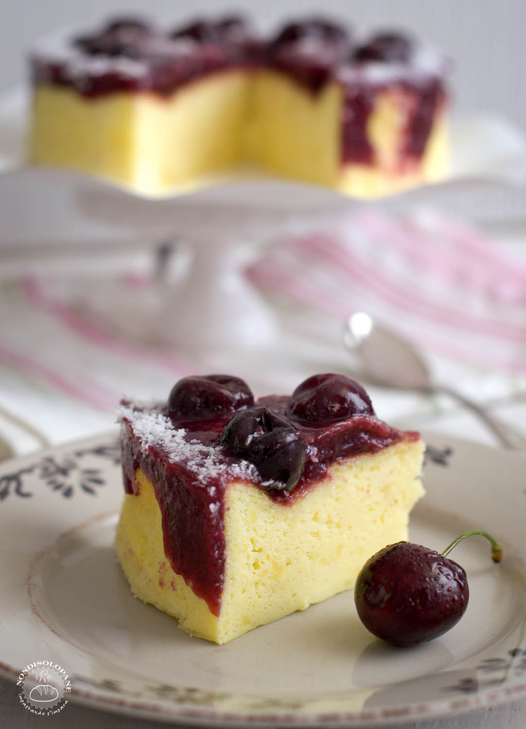 Cotton Soft Cheesecake | NONDISOLOPANE